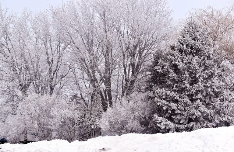 Blizzard warning in effect | News, Sports, Jobs - The Freeman Journal